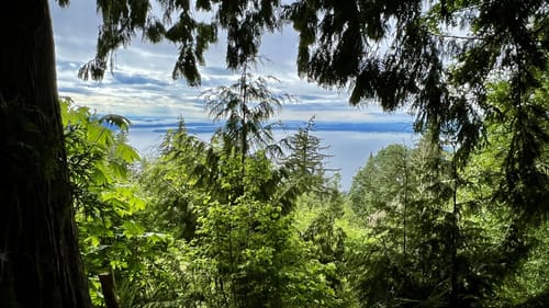 2023 Best 10 Trails and Hikes in Bellingham | AllTrails