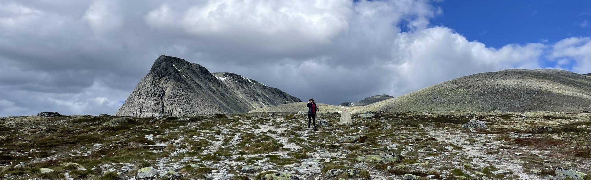 Rondvassbu to Storronden via Langglupdalen: 2 Reviews, Map - Innlandet ...
