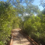 Coombabah Reserve and Mangrove Walk, Queensland, Australia - 18 Reviews ...
