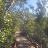 Coombabah Reserve and Mangrove Walk, Queensland, Australia - 18 Reviews ...