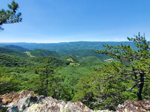 Best Hikes and Trails in Spruce Knob-Seneca Rocks National Recreation ...