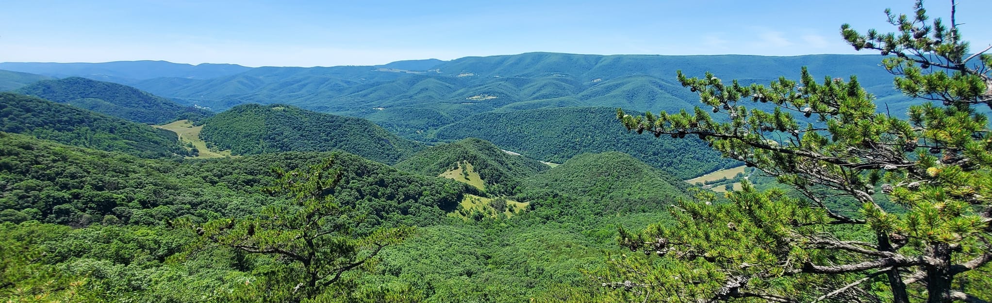 Redman Run Trail, West Virginia - 100 Reviews, Map | AllTrails