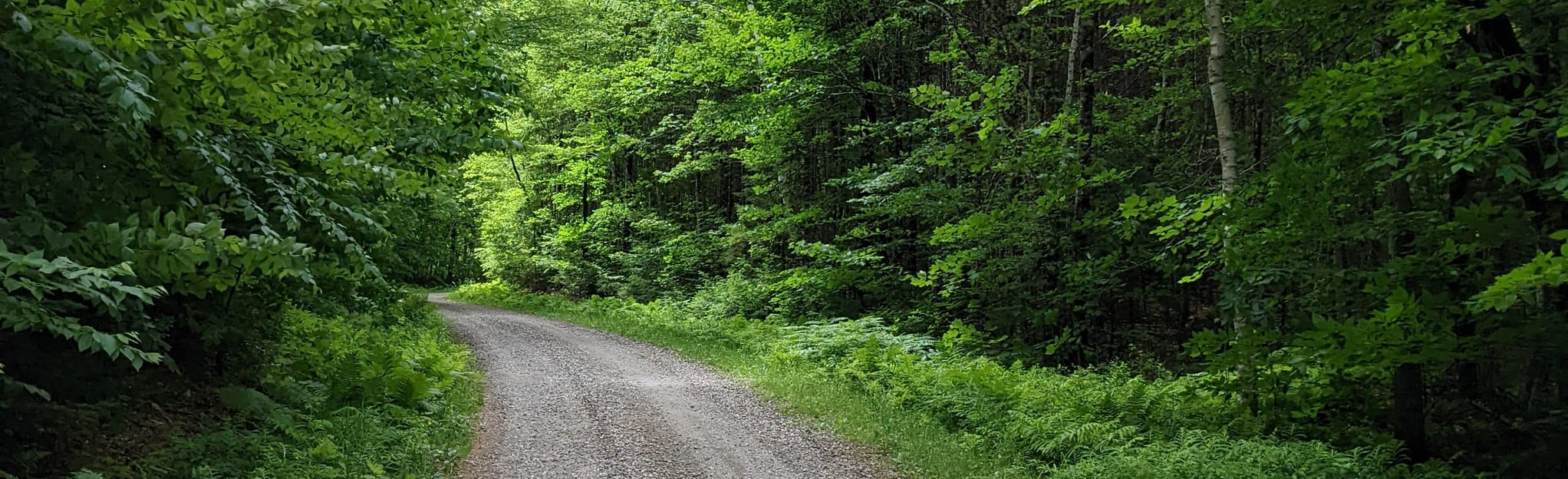 Goshen Dam Trail, Vermont - 17 Reviews, Map | AllTrails