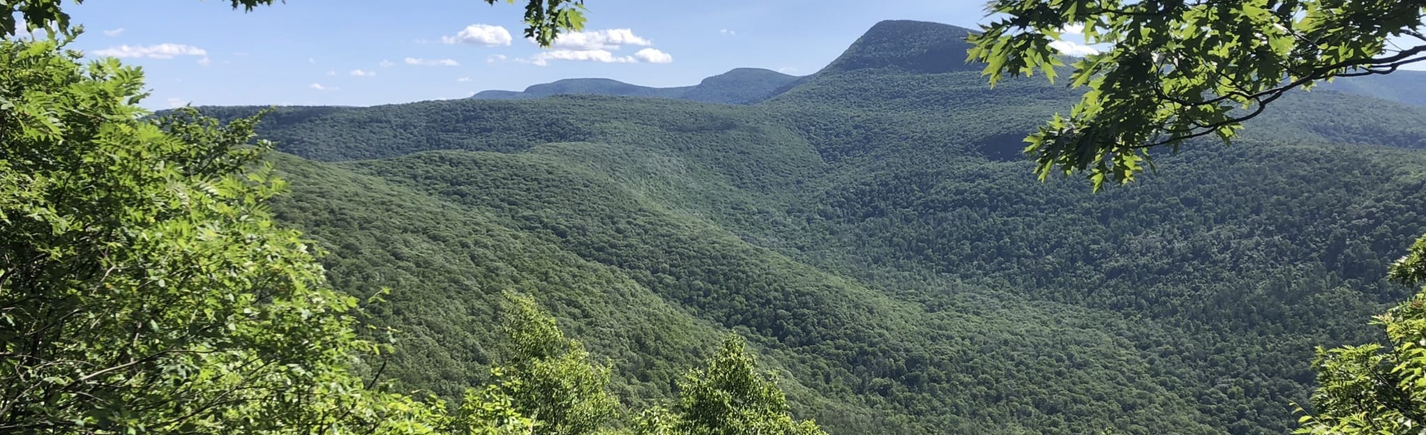 Long Path Section 19: 32 Reviews, Map - New York | AllTrails