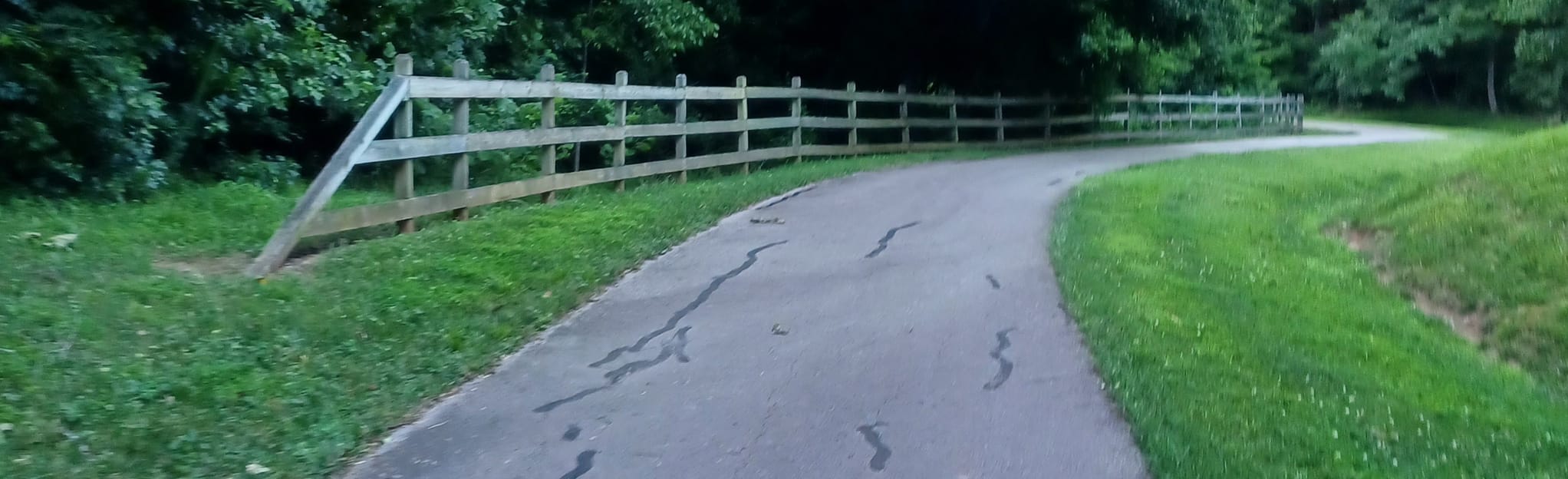 Endor Iron Furnace Trail: 84 Reviews, Map - North Carolina | AllTrails