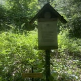 Capen Hill Nature Sanctuary, Massachusetts - 225 Reviews, Map | AllTrails