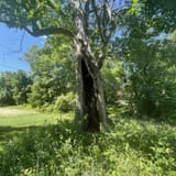 Capen Hill Nature Sanctuary, Massachusetts - 225 Reviews, Map | AllTrails