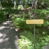 Capen Hill Nature Sanctuary, Massachusetts - 225 Reviews, Map | AllTrails