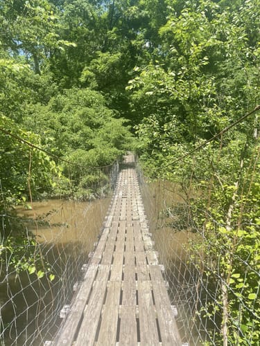 Best Hikes and Trails in Cumberland State Forest | AllTrails