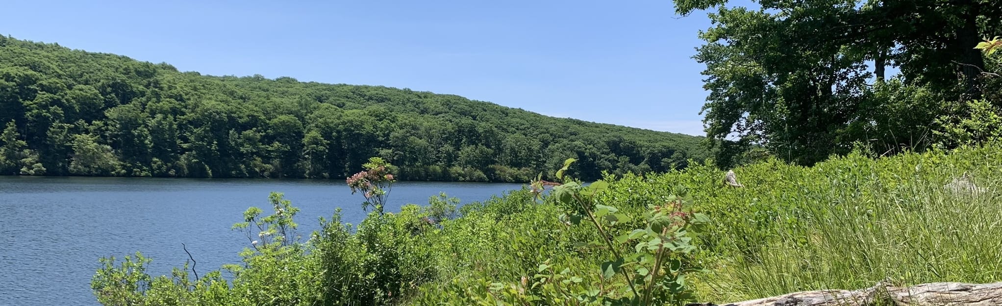 Breakneck Pond from Pine Meadow Road, New York - 11 Reviews, Map ...