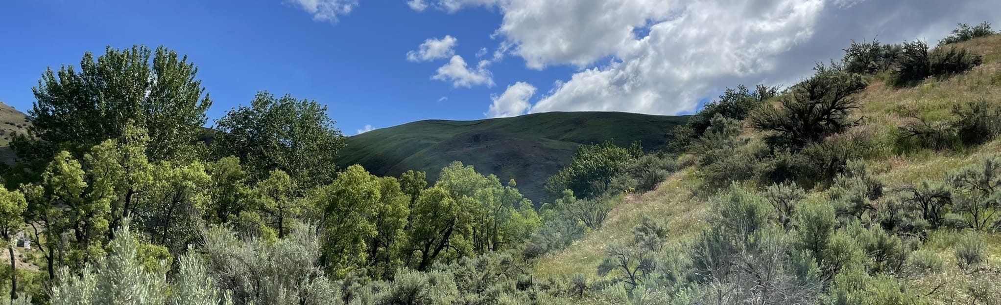 Shooting Range, Whiptail, Sheep Rock and Spring Valley Creek Loop: 283 ...