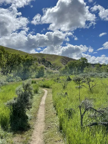 10 Best Hikes and Trails in Avimor Trail Network | AllTrails