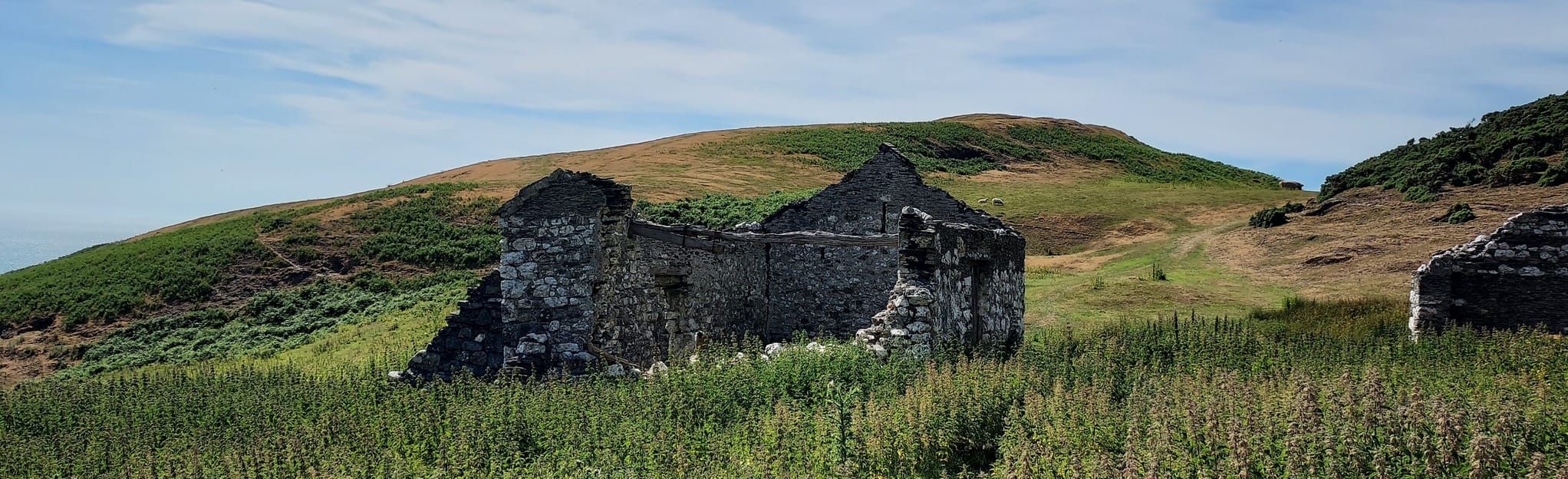 Aberdyfi Circular: 91 Reviews, Map - Gwynedd, Wales | AllTrails