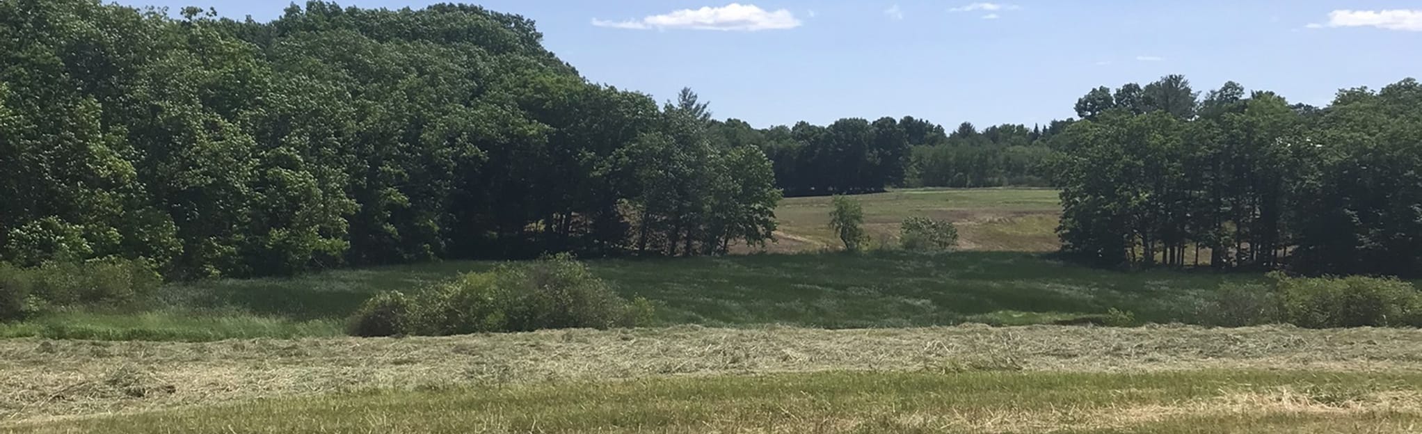 Raynes Farm Loop: 31 Reviews, Map - New Hampshire | AllTrails