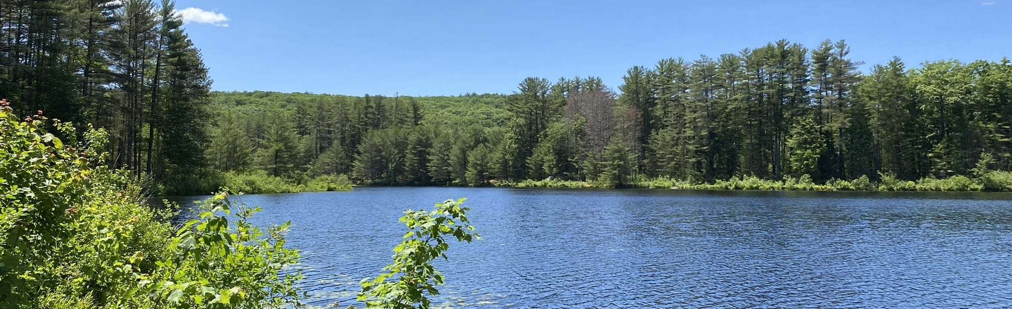 Old Stage Road, Pipeline, Observation Hill, and Red Dot Trail Loop: 30 ...