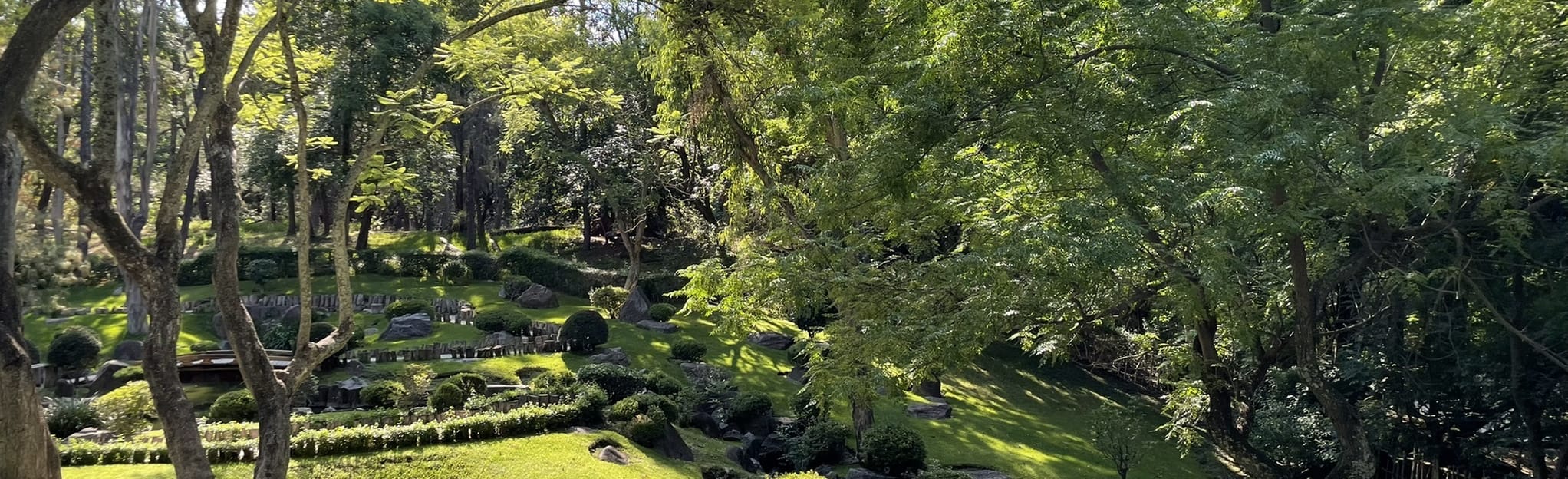 Colomos Forest Long Route, Jalisco, Mexico - 22 Reviews, Map | AllTrails