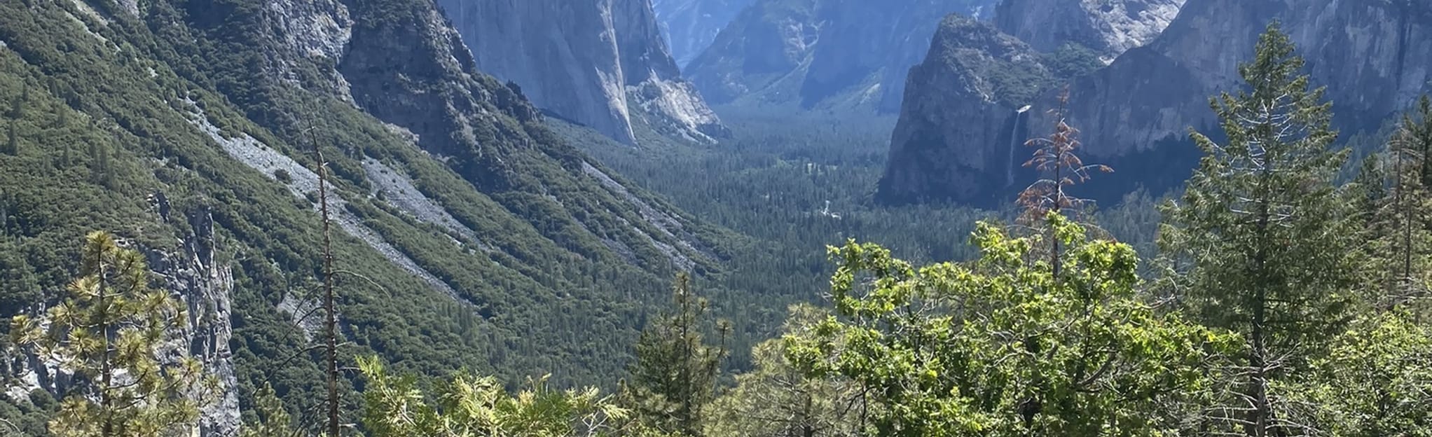 Inspiration Point Trail, California - 1,518 Reviews, Map | AllTrails