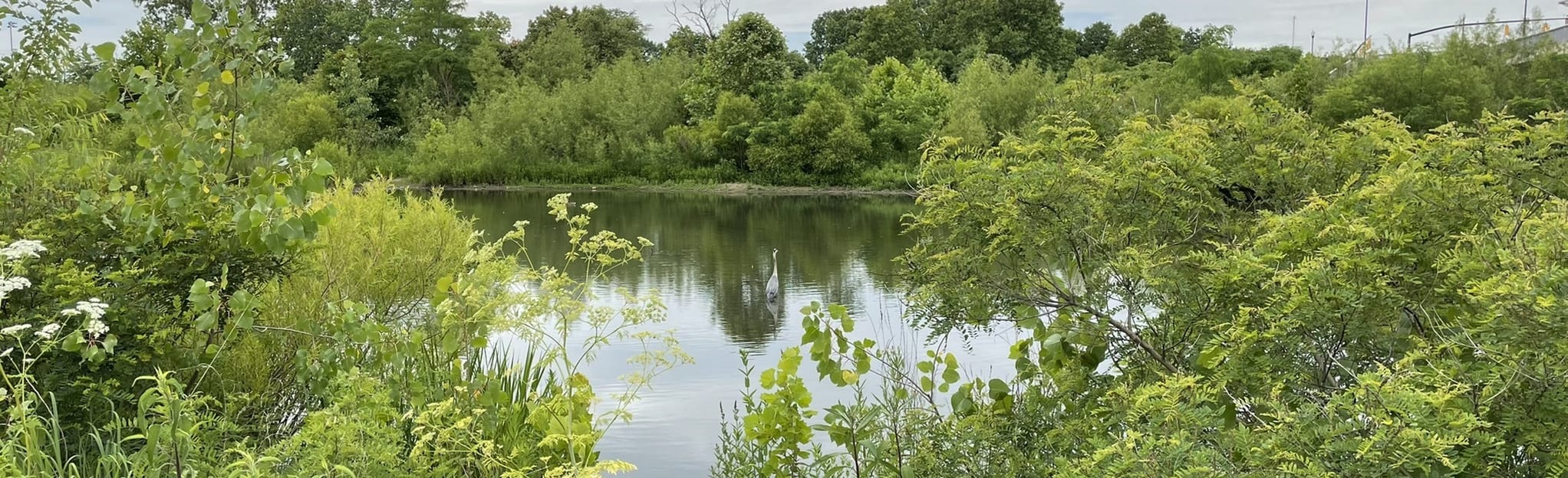 The Ohio State University Main Campus Loop, Ohio - 51 Reviews, Map ...