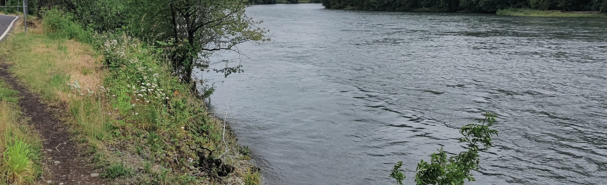 Ruth Bascom Willamette Riverbank Path: 345 Reviews, Map - Oregon ...