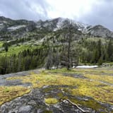 Boulder Falls Trail, Montana - 76 Reviews, Map | AllTrails