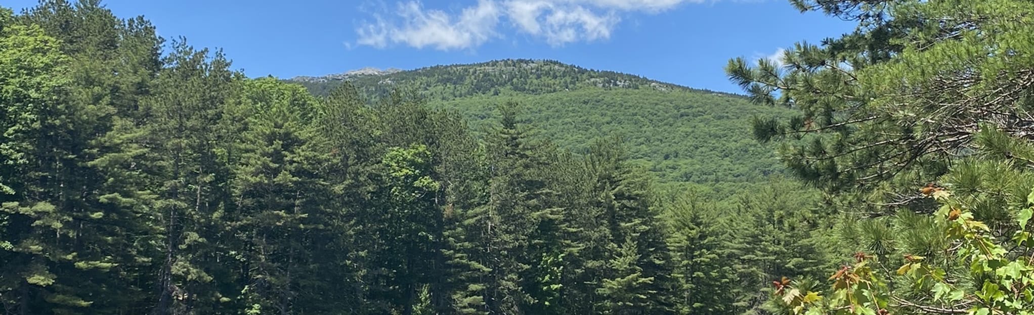 T42 Monadnock Loop, New Hampshire - 105 Reviews, Map | AllTrails