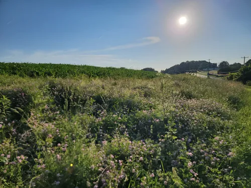 Best Hikes and Trails in Timber Top Farm | AllTrails