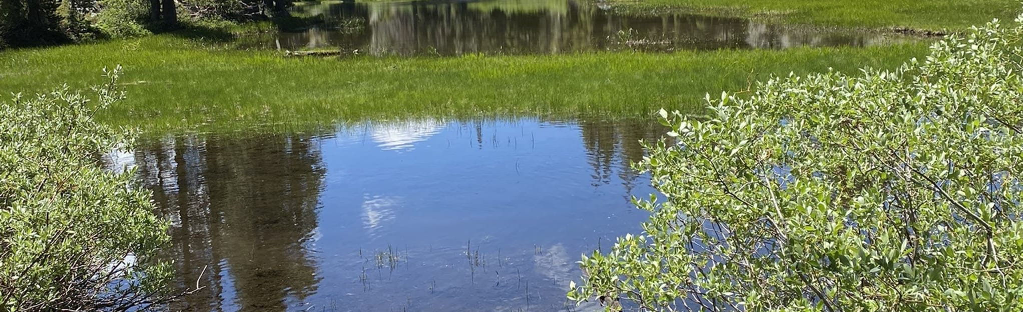 Mount Elwell Loop, California - 20 Reviews, Map | AllTrails