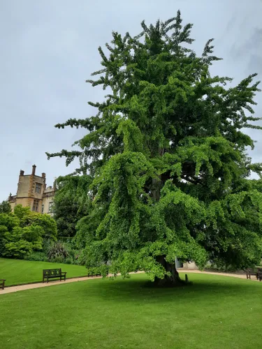 Best Trails, Walks, and Paths in Sherborne | AllTrails