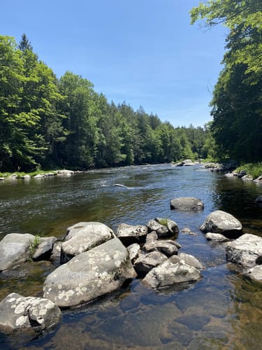 Neversink River Unique Area : les meilleures randonnées en 2023 | AllTrails