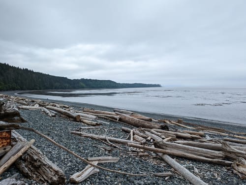 Best Hikes and Trails in Bere Point Regional Park | AllTrails