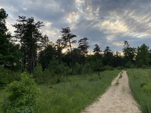 10 Best Hikes and Trails in Albany Pine Bush Preserve | AllTrails