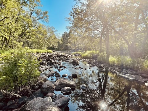 Best Hikes and Trails in Flambeau River State Forest | AllTrails