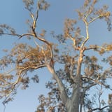 Karawatha Forest Park Quarry, Queensland, Australia - 124 Reviews, Map ...