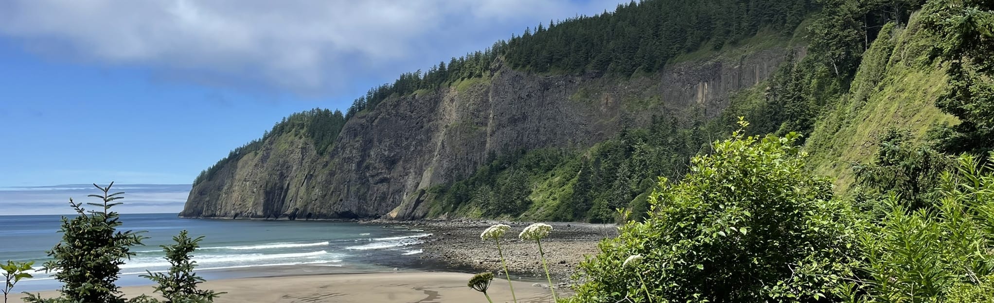 South Cape Lookout Trail: 445 Reviews, Map - Oregon | AllTrails