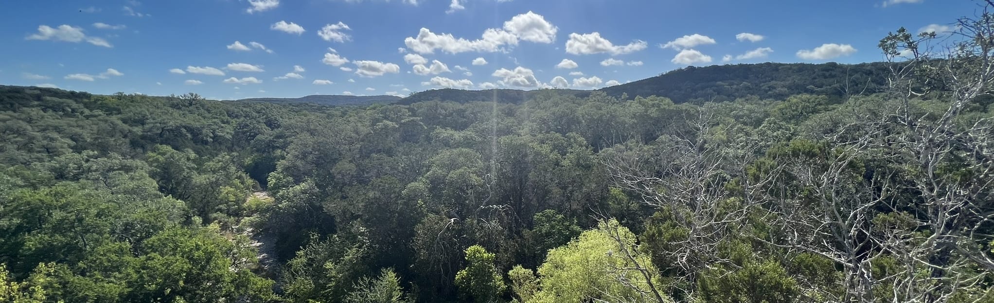 Joe Johnston Route and Caroline's Loop: 934 foto's - Texas | AllTrails