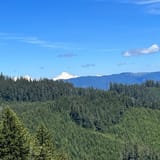 Tire Mountain Trail, Oregon - 149 Reviews, Map | AllTrails