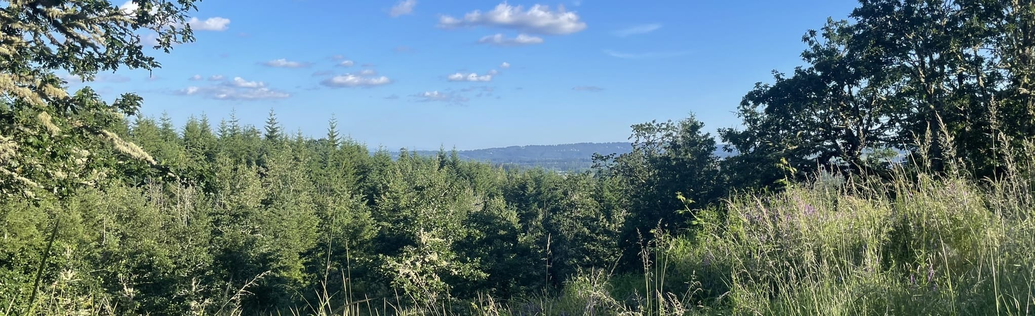 Little Prairie and Blacktail Way, Oregon - 136 Reviews, Map | AllTrails