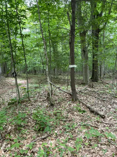 Best Moderate Trails in Heaven's Gate Recreational Trail System | AllTrails