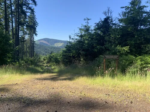 Best Easy Trails in McDonald Research Forest | AllTrails