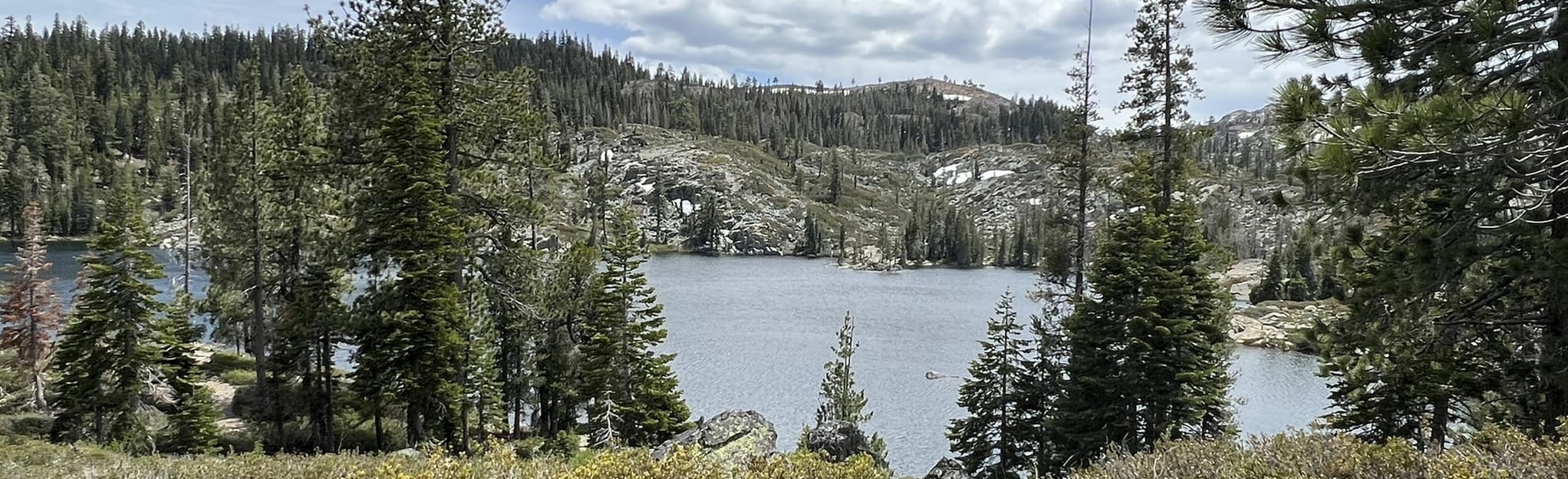 Bear Lakes and Mount Elwell, California - 107 Reviews, Map | AllTrails
