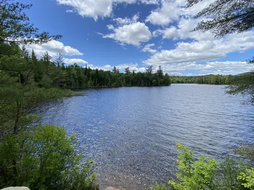 Best Forest Trails in Debar Mountain Wild Forest | AllTrails