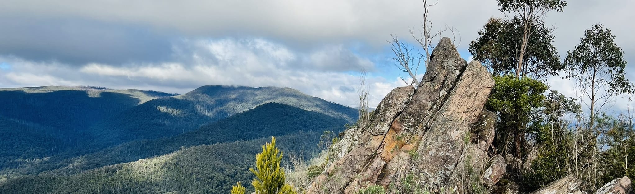 South Jawbone Track: 4 Reviews, Map - Victoria, Australia | AllTrails