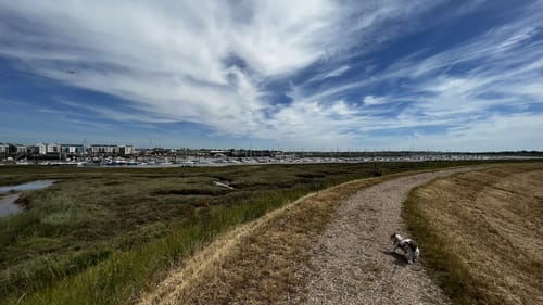 2023 Best Walking Trails in Clacton-on-Sea | AllTrails