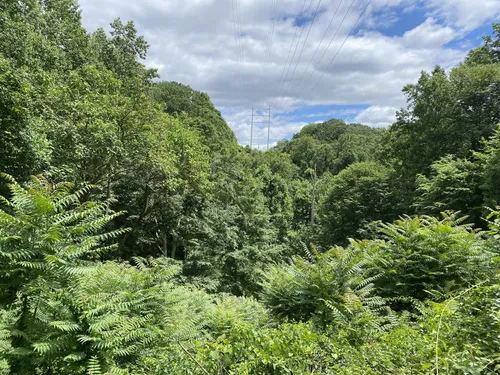 10 Best Hikes and Trails in Loch Raven Reservoir | AllTrails