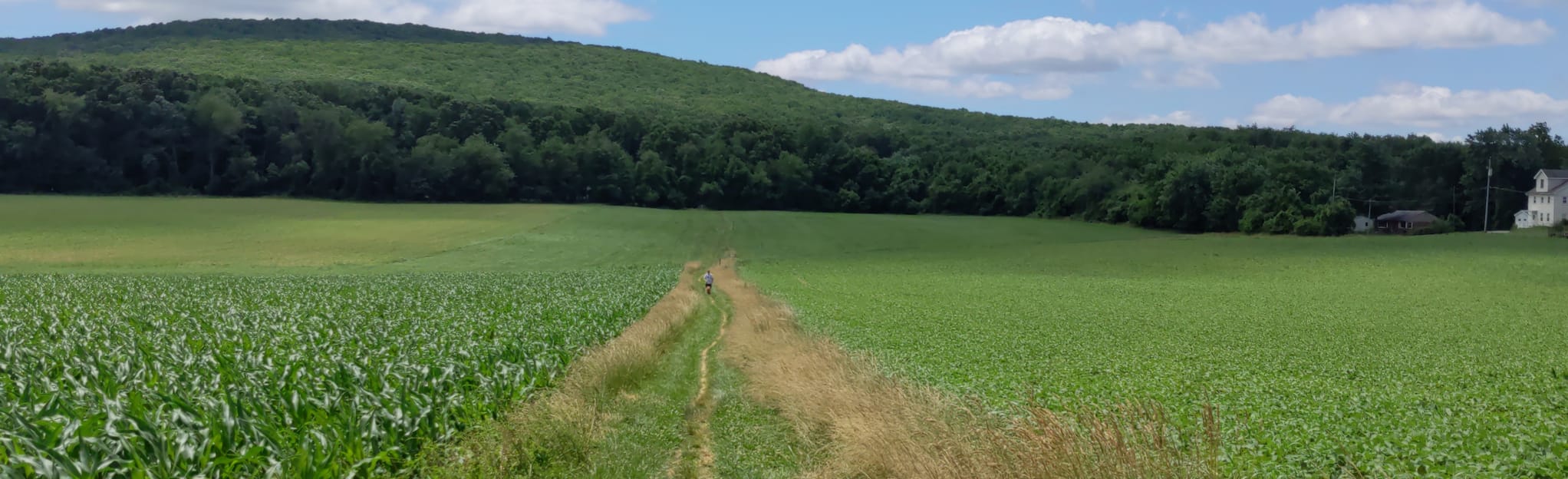 PA Forest Road, White Rocks, Appalachian Trail Center Point Knob ...