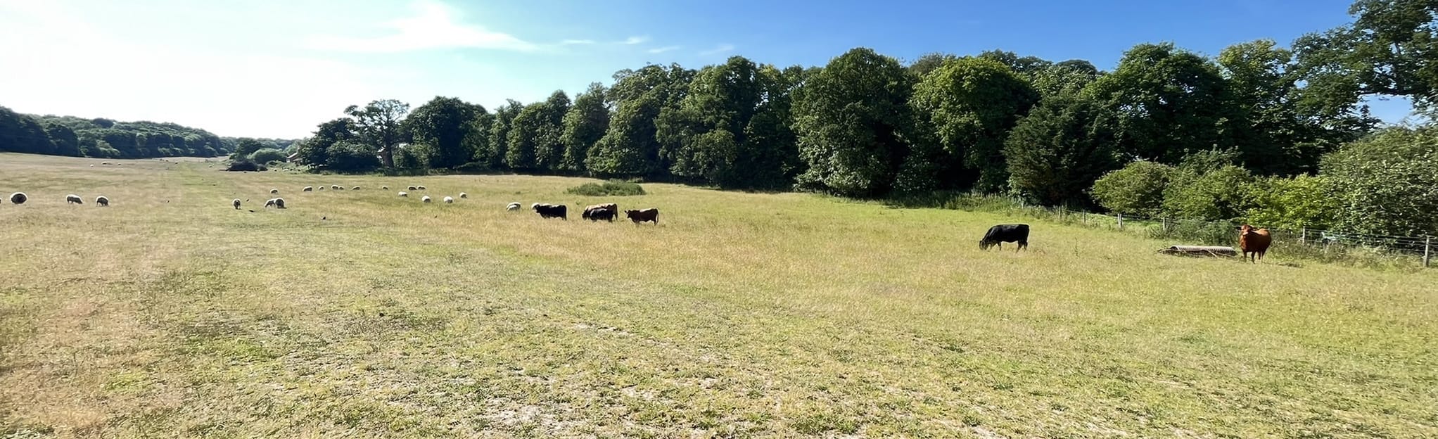 East Runton - Felbrigg Circular, Norfolk, England - 24 Reviews, Map ...