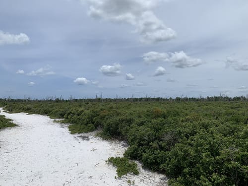 Best Hikes and Trails in Seabranch Preserve State Park | AllTrails