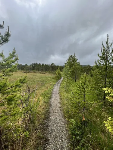10 Best Hikes and Trails in Bymarka nature reserve | AllTrails