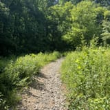 Explorer Loop, North Carolina - 357 Reviews, Map | AllTrails