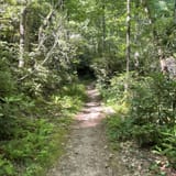 Explorer Loop, North Carolina - 357 Reviews, Map | AllTrails